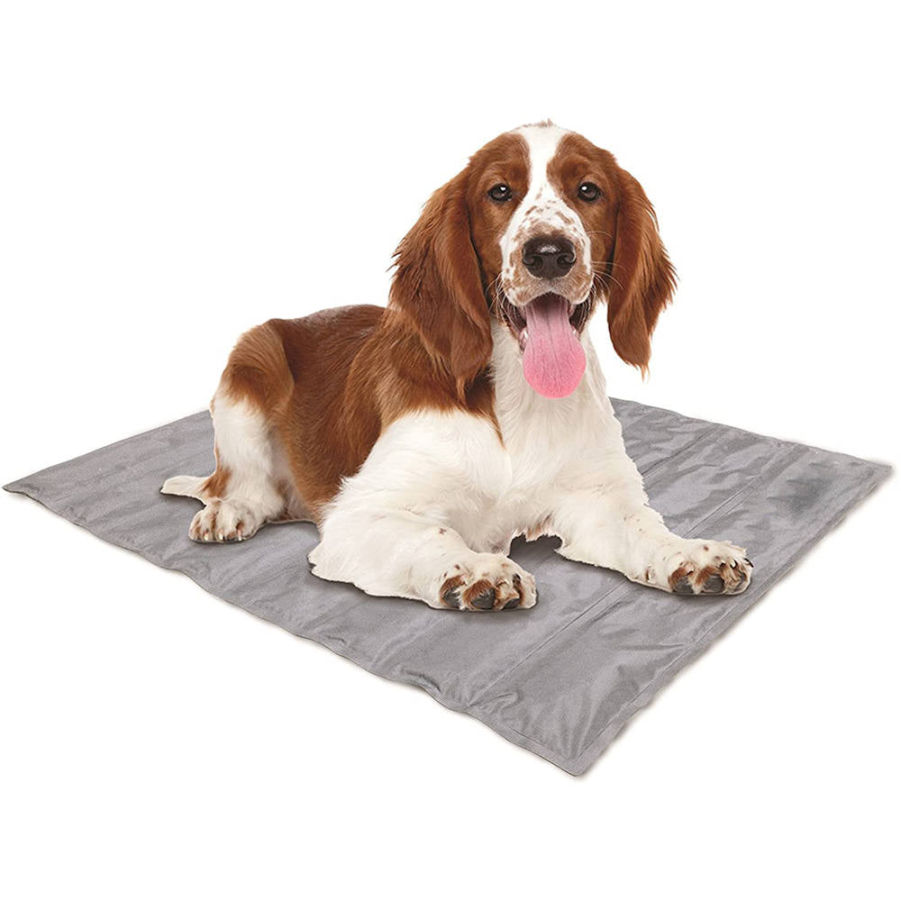 Animate Cooling Mat – Whitton Pet Centre